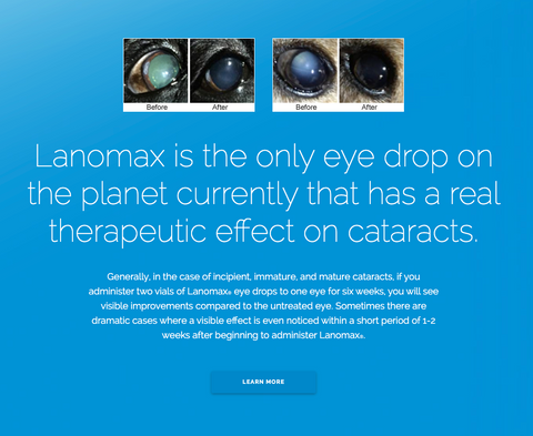 Lanomax® Eyedrop | The Barkery Singapore